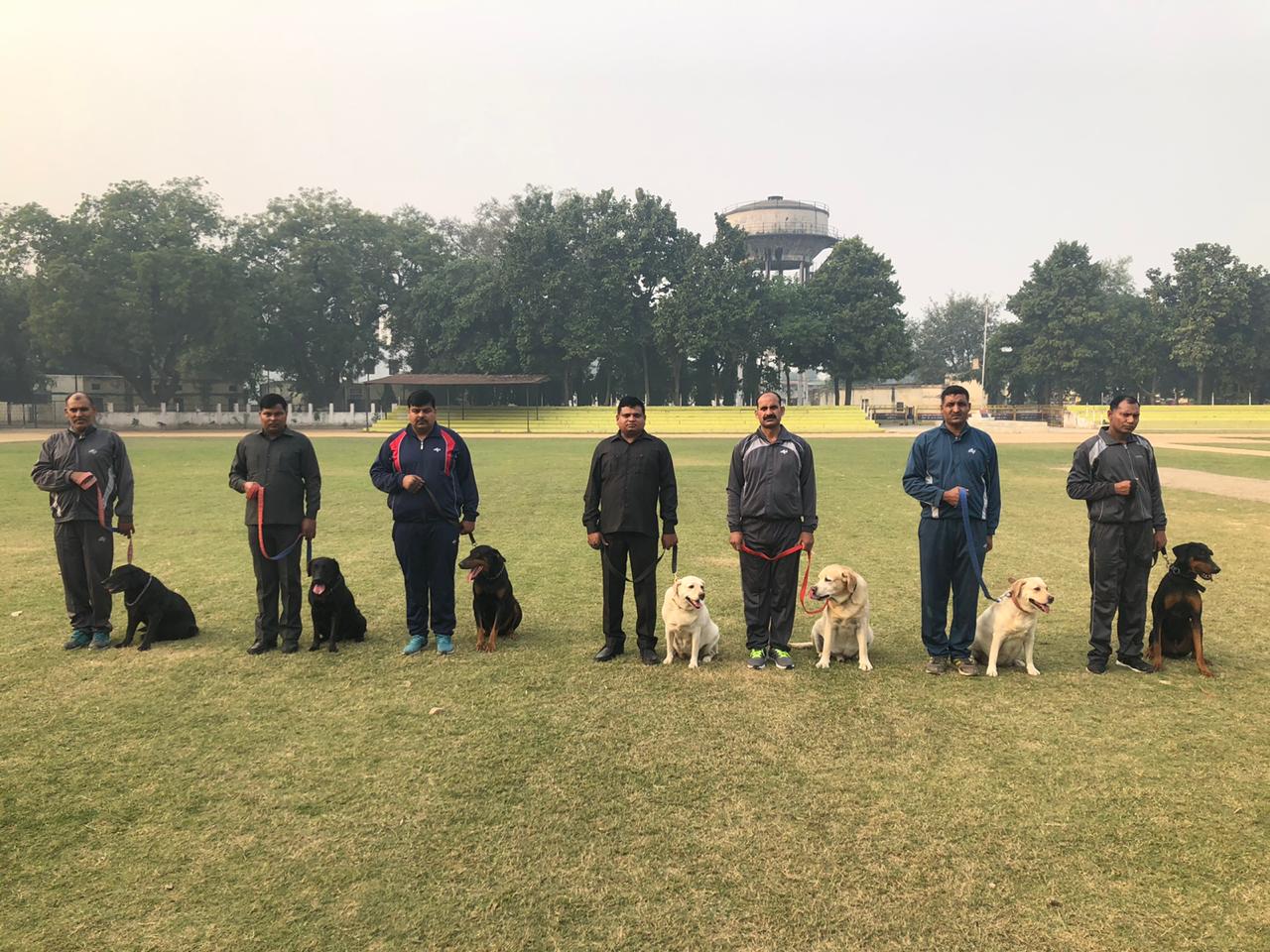 Why Dogs Are Used In Rescue Operations By The Police