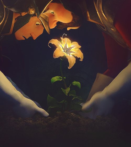 Magic Flower Tangled