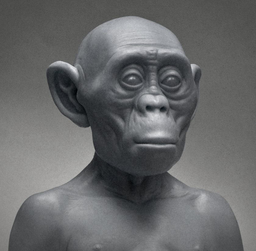 Walking With Beasts Australopithecus