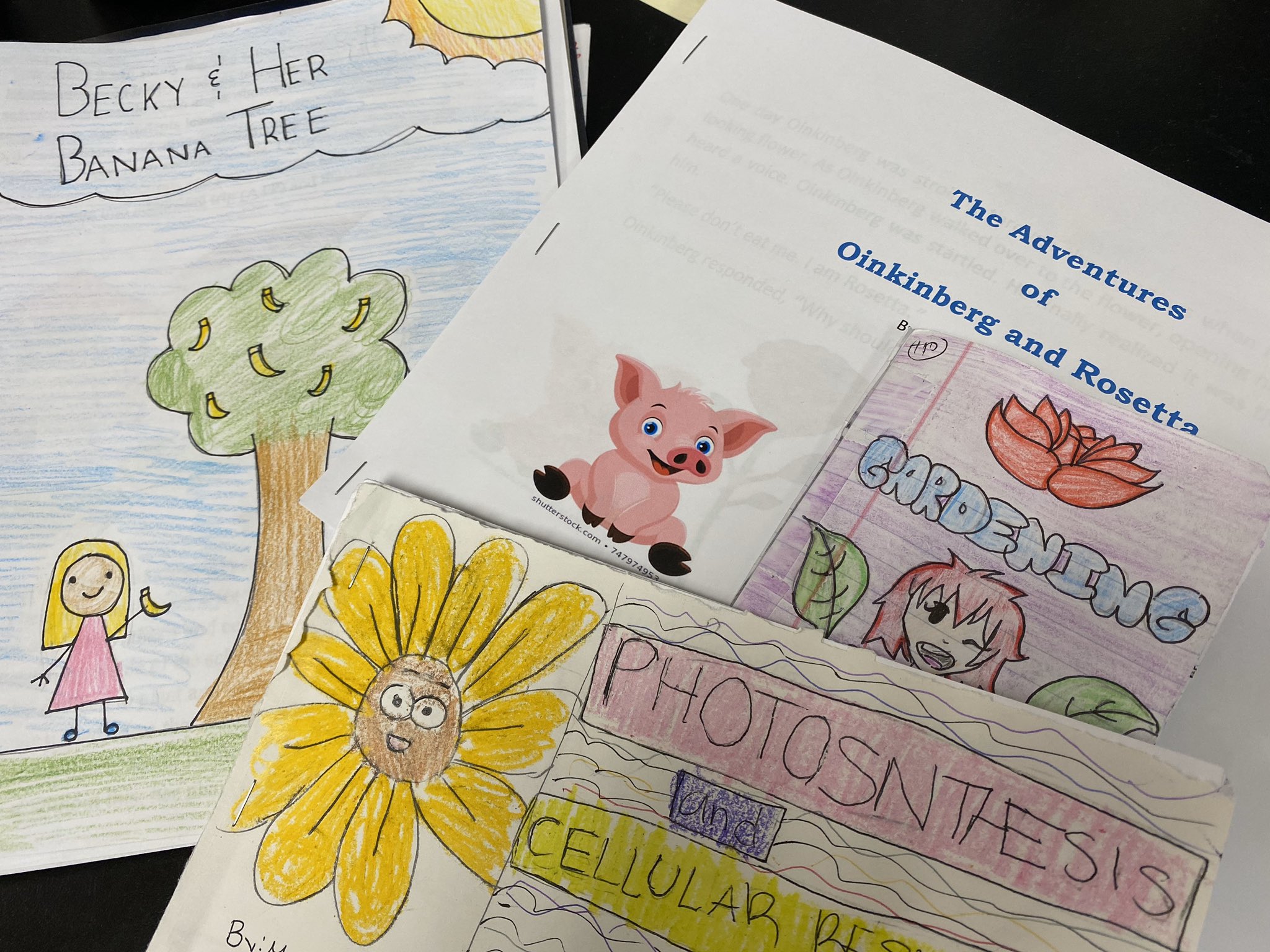 Photosynthesis Project Ideas