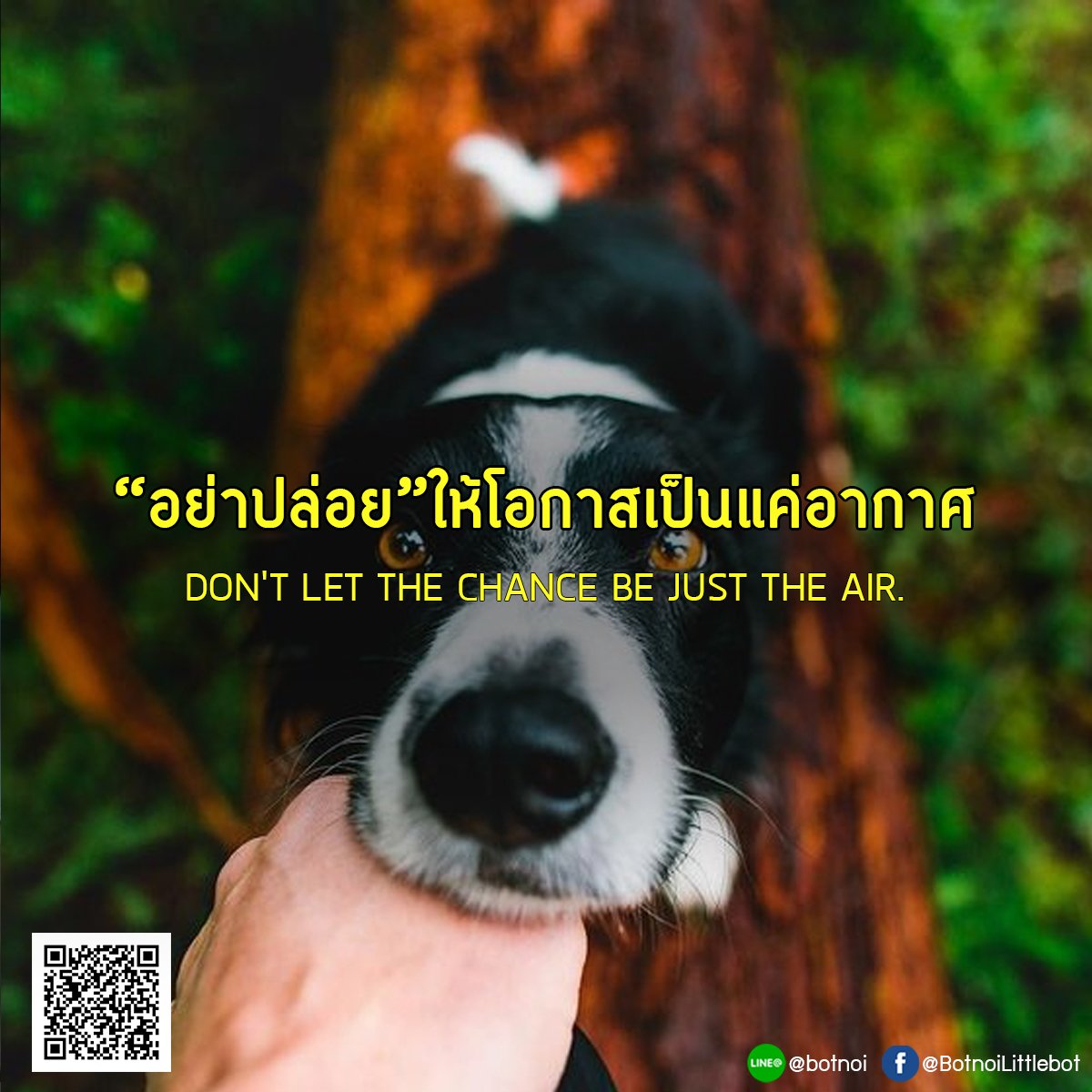 Botnoi On Twitter อย่าปล่อยให้โอกาสเป็นแค่อากาศ คำคมชีวิต มุขเสี่ยว