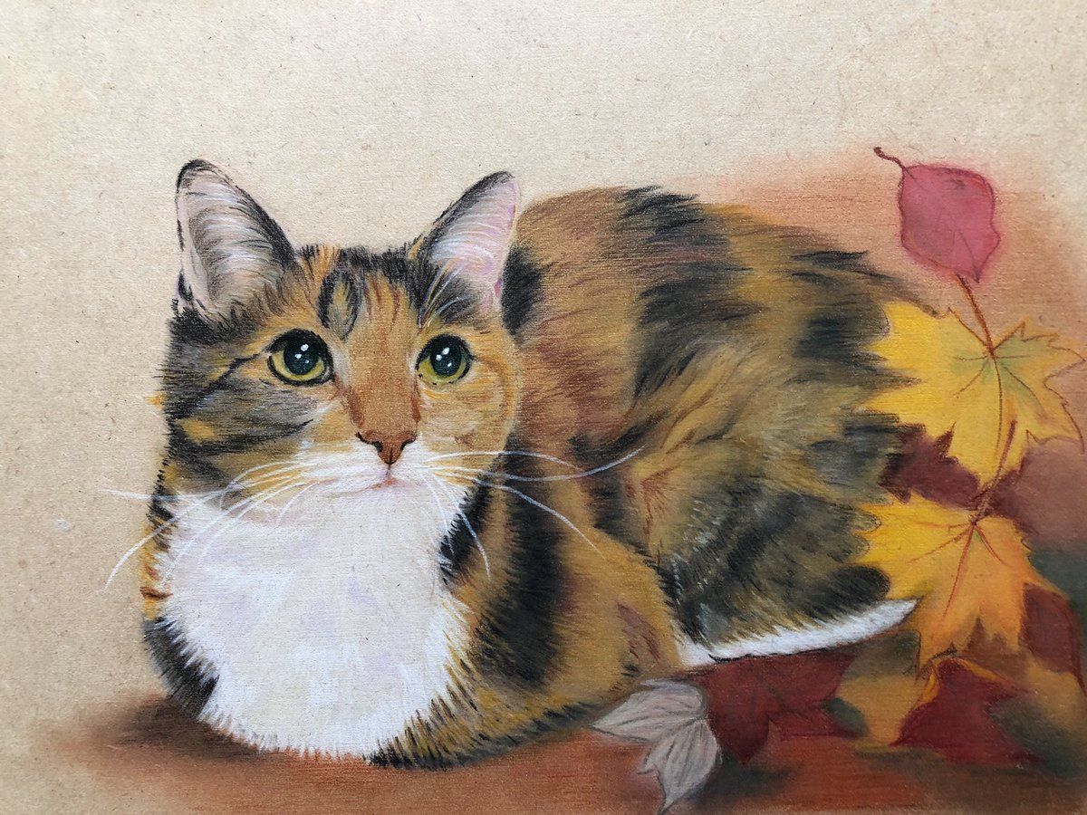 kitten-holic (@kitten_holic) さんのイラスト・マンガ作品まとめ (1 件) - Twoucan