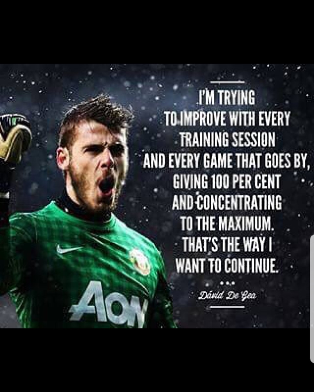 Soccer Goalie Inspirational Quotes