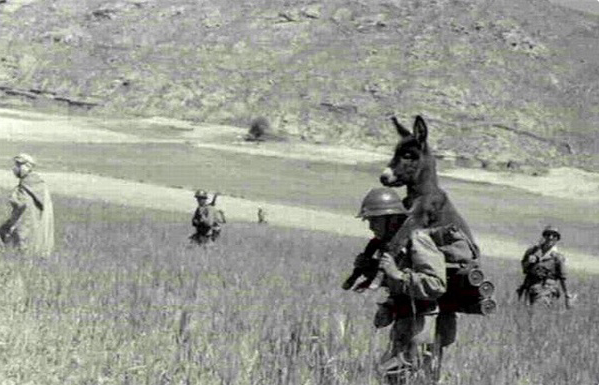 Caracal, Olt. : r/Romania