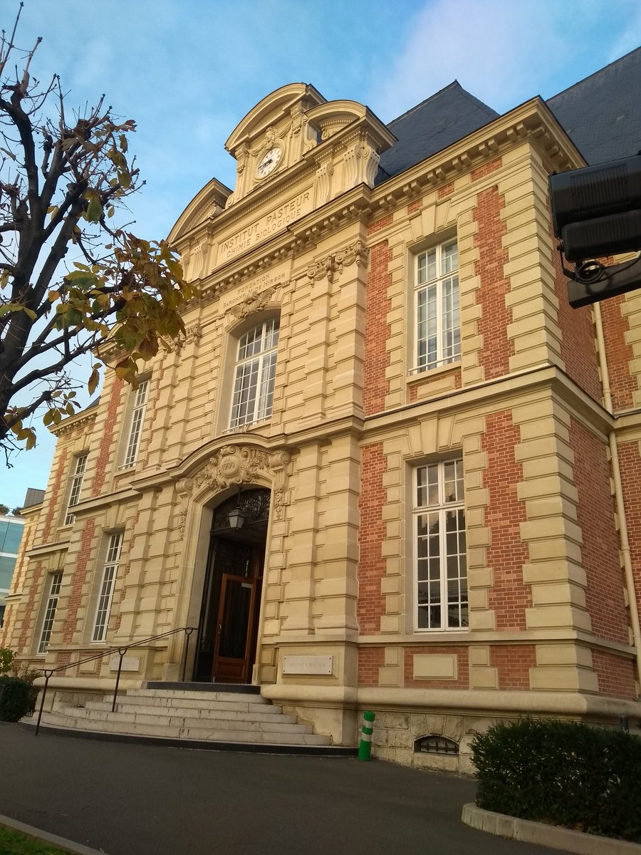 Scienseed on Twitter: "Time to meet our colleagues from @Rafts4Biotech!…