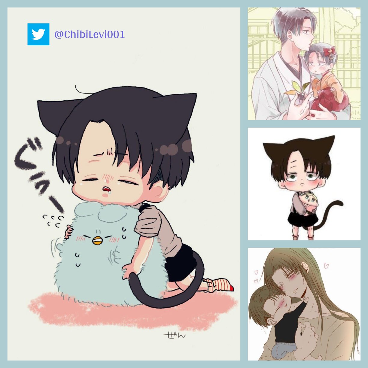 Levi Chibi Cat