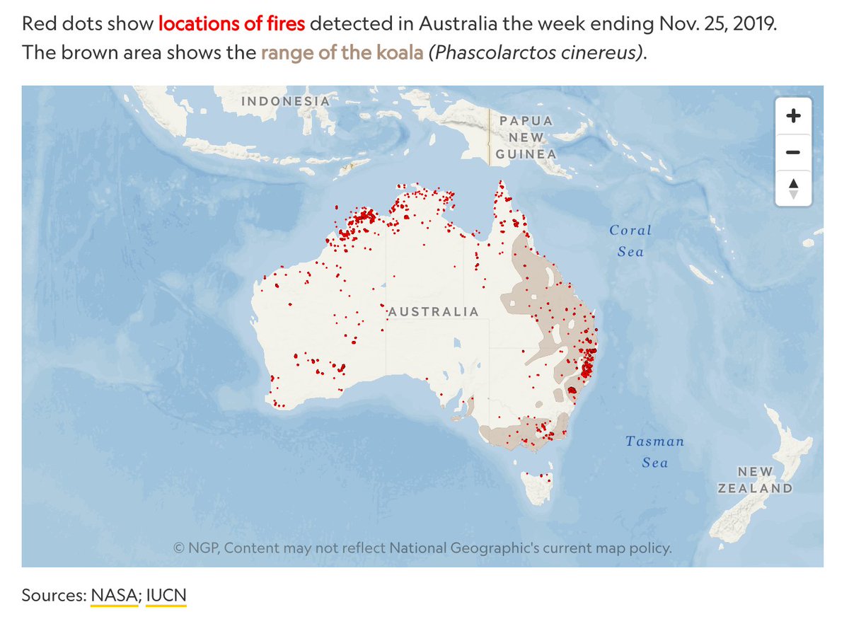 Koalas Habitat Map