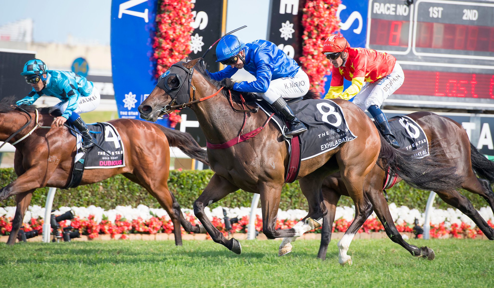 Magic Millions on Twitter: "First acceptances (FREE) for the $2m MM 2YO Classic & $2m MM 3YO ...