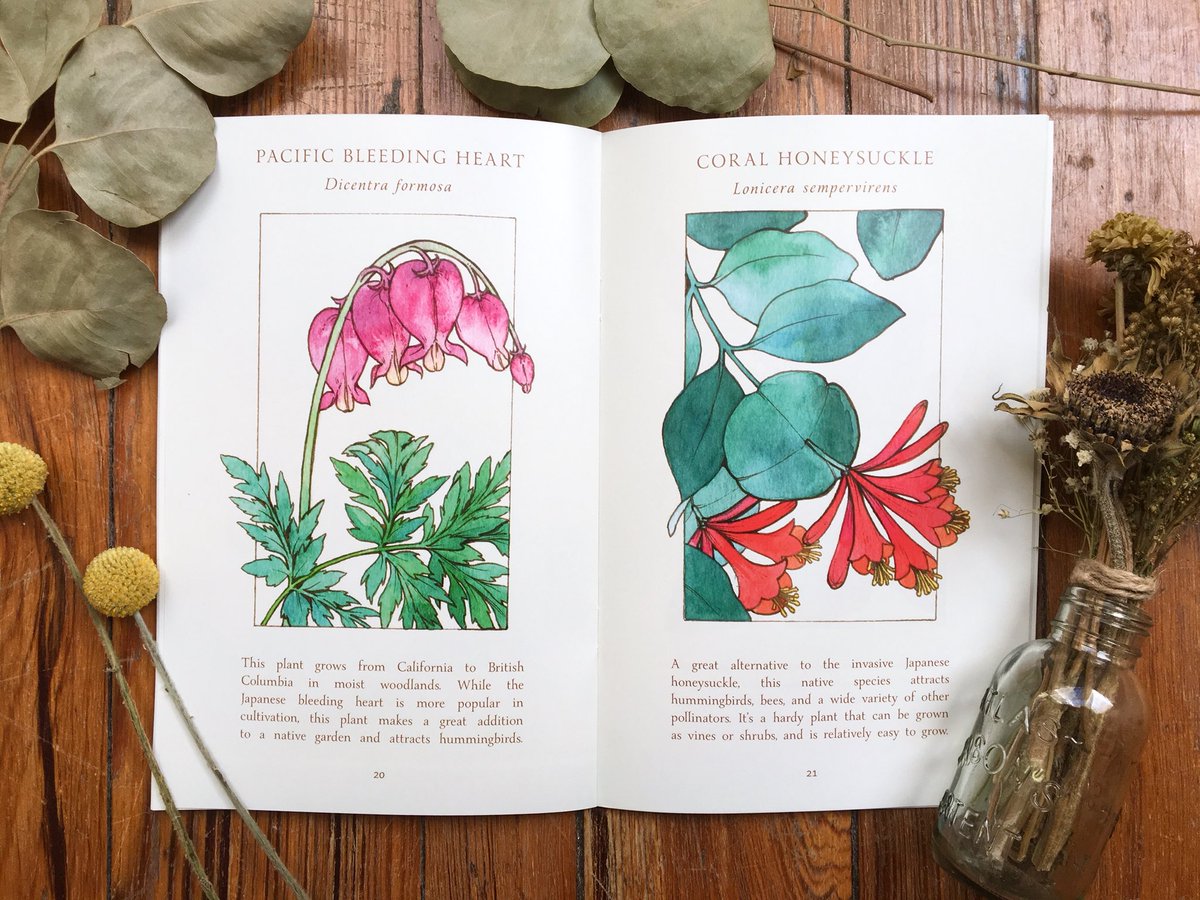 「i got my flora books in the mail and i couldn't be happier!!」loon 🌱の漫画