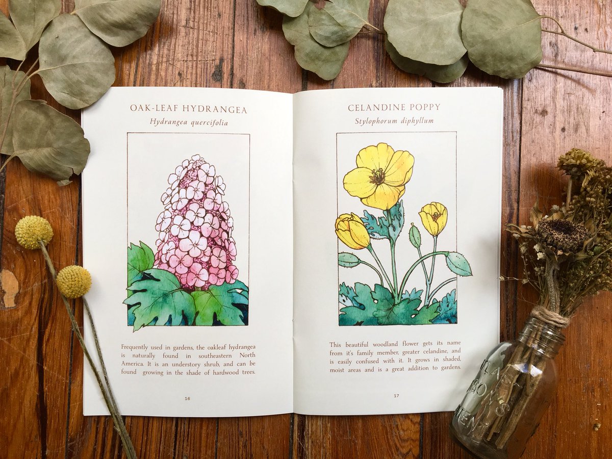 「i got my flora books in the mail and i couldn't be happier!!」loon 🌱の漫画