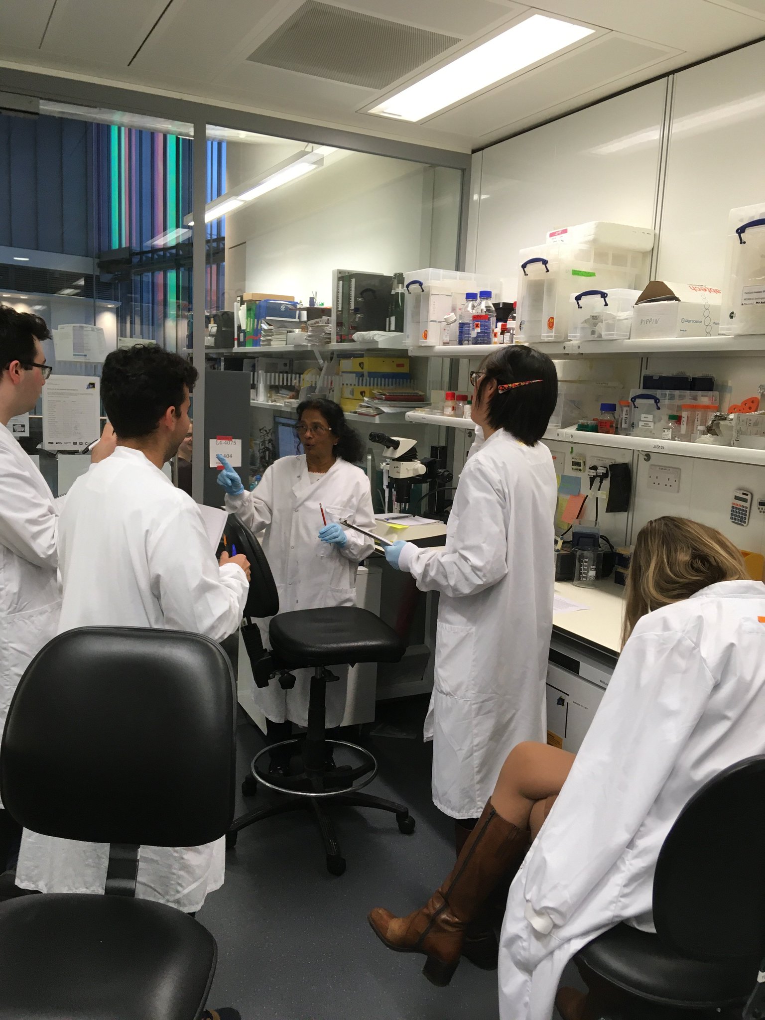 Turner Lab on Twitter: "Shantha imparting her angling knowledge: RNA FISH 🎣@HaskanKaya ...