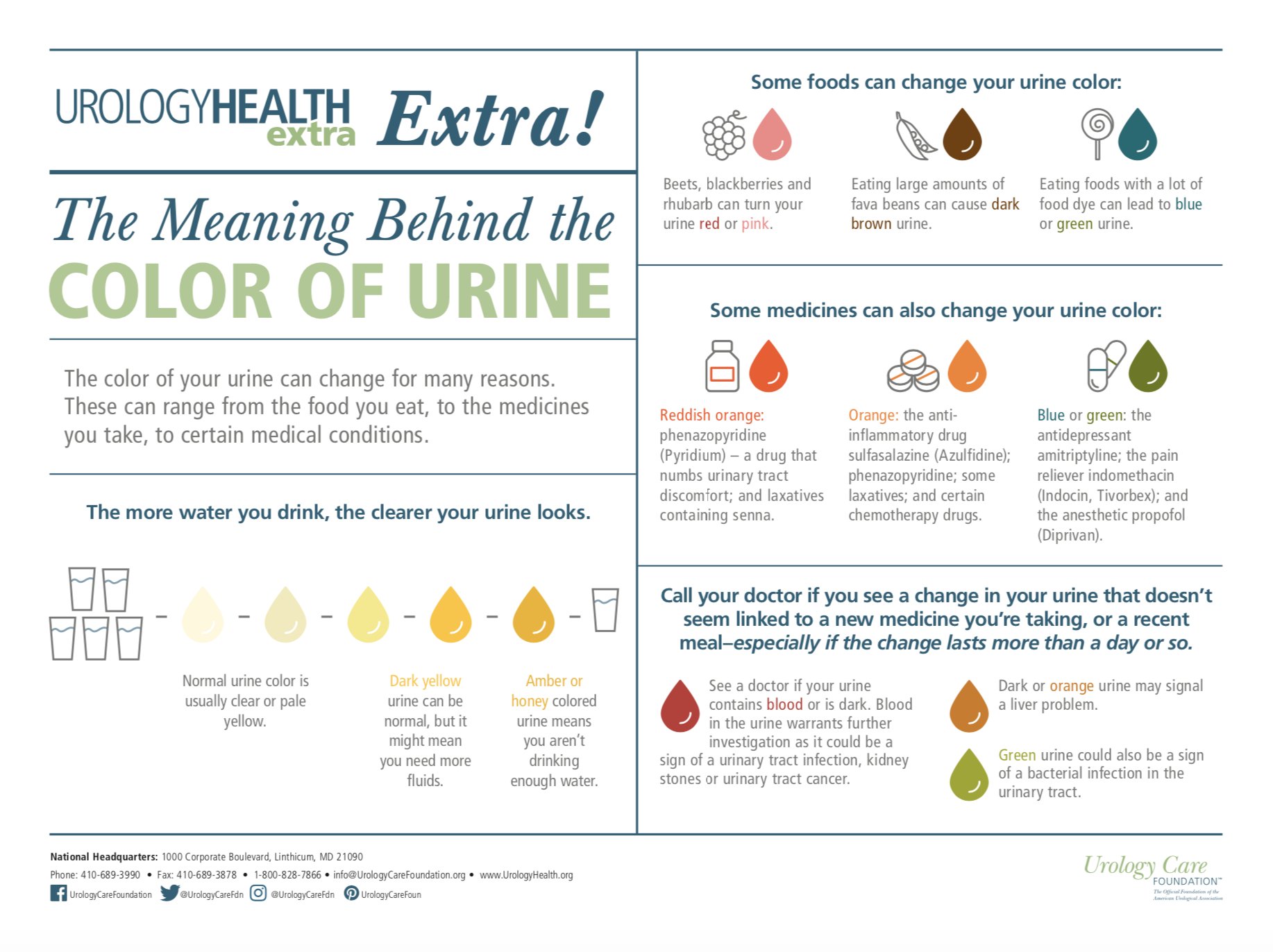Urine Color Chart Meaning