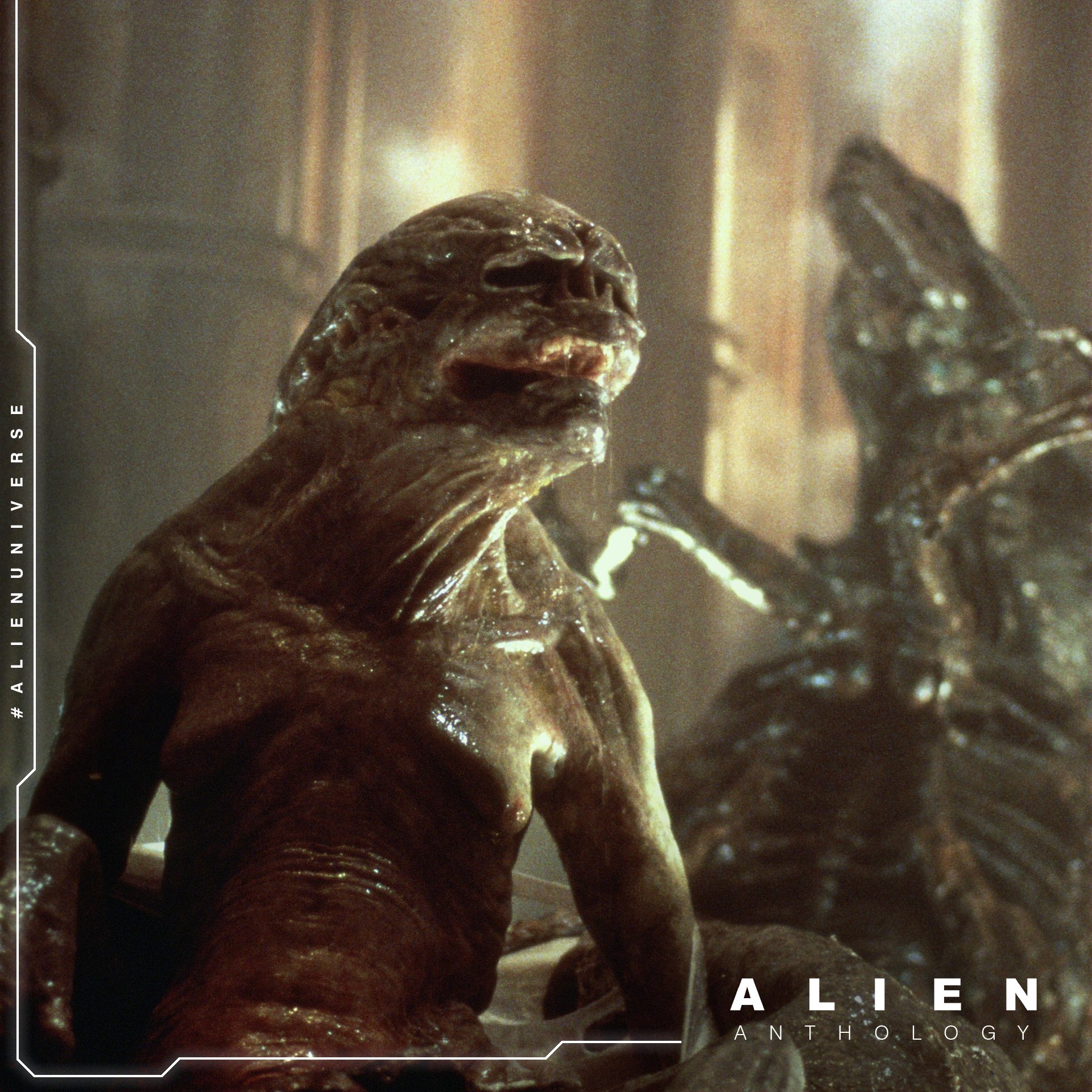 Alien Resurrection Hybrid Alien: Romulus Concept Art Reveals That The