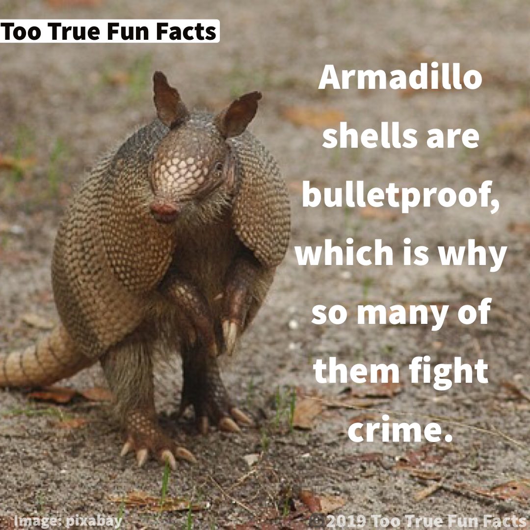 Top 170 Interesting Facts About Animals With Pictures top-170-interesting-facts-about-animals-with-pictures