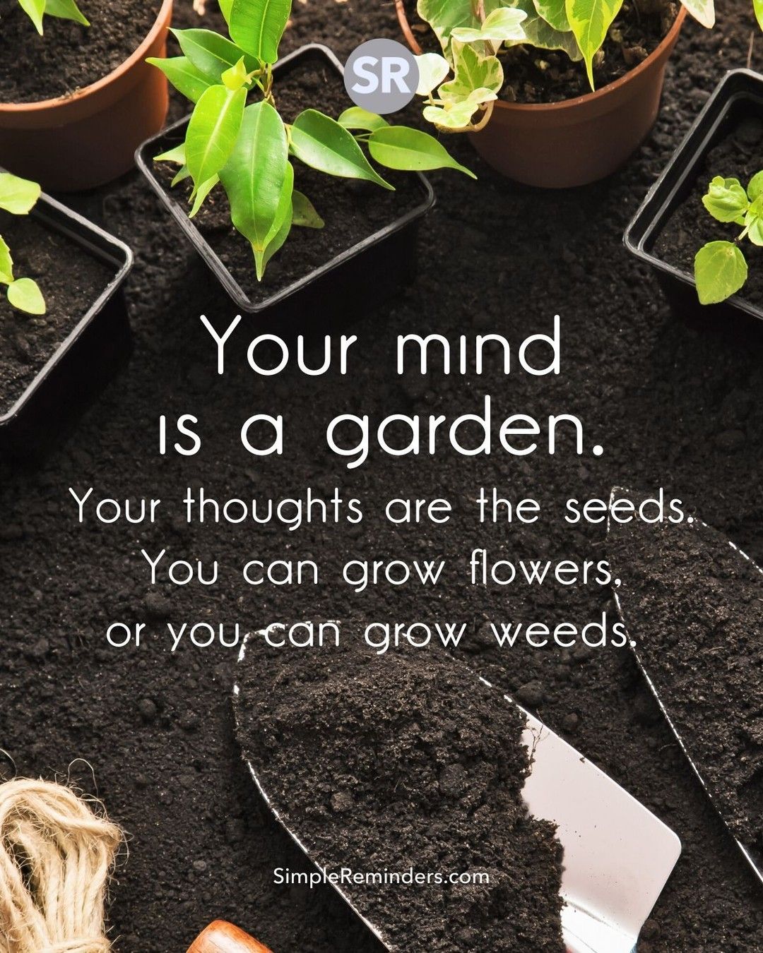 Garden Thoughts Quotes Book Review: In The Garden Of Happiness By
