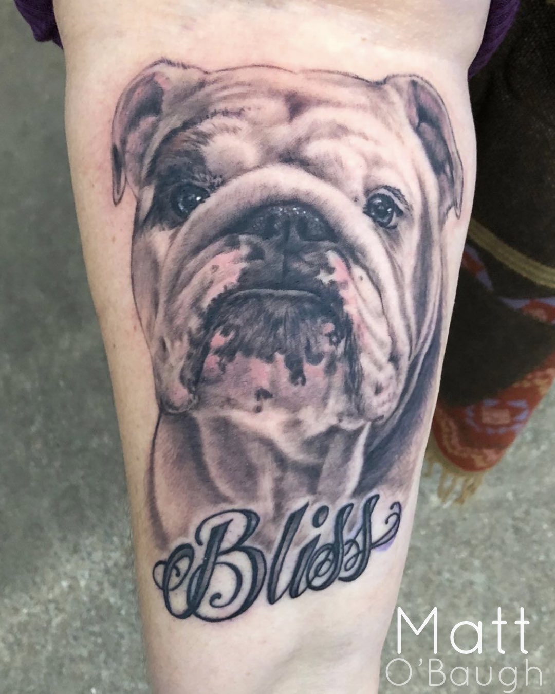 English Bulldog Tattoo Flash