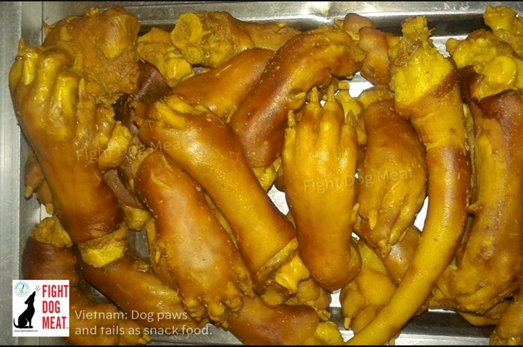 Fried Dog Meat