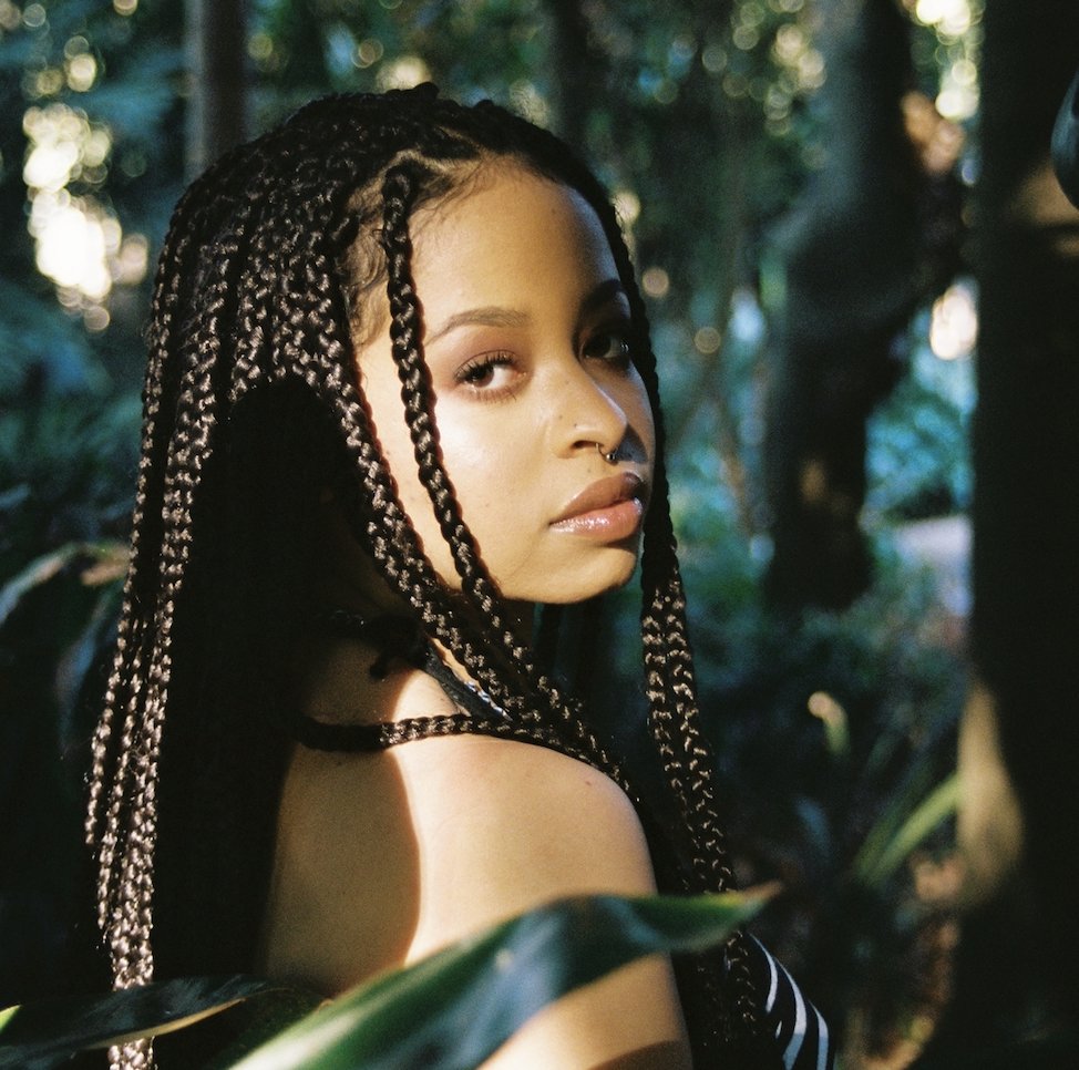 Erykah Badu Box Braids