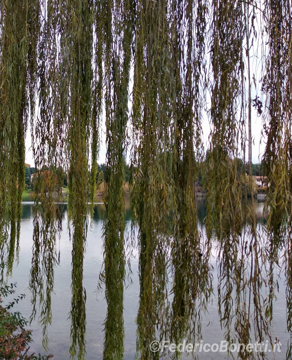 Federico Bonetti (@bonettiagronomo) | Twitter