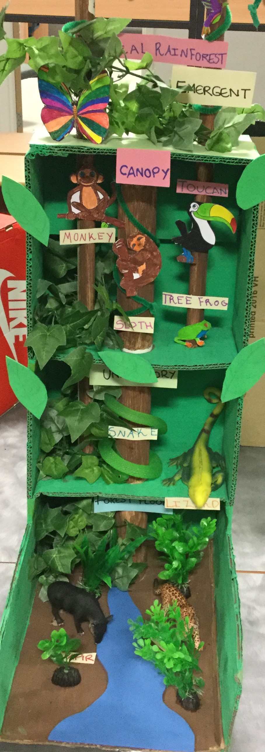 Rainforest Diorama Layers