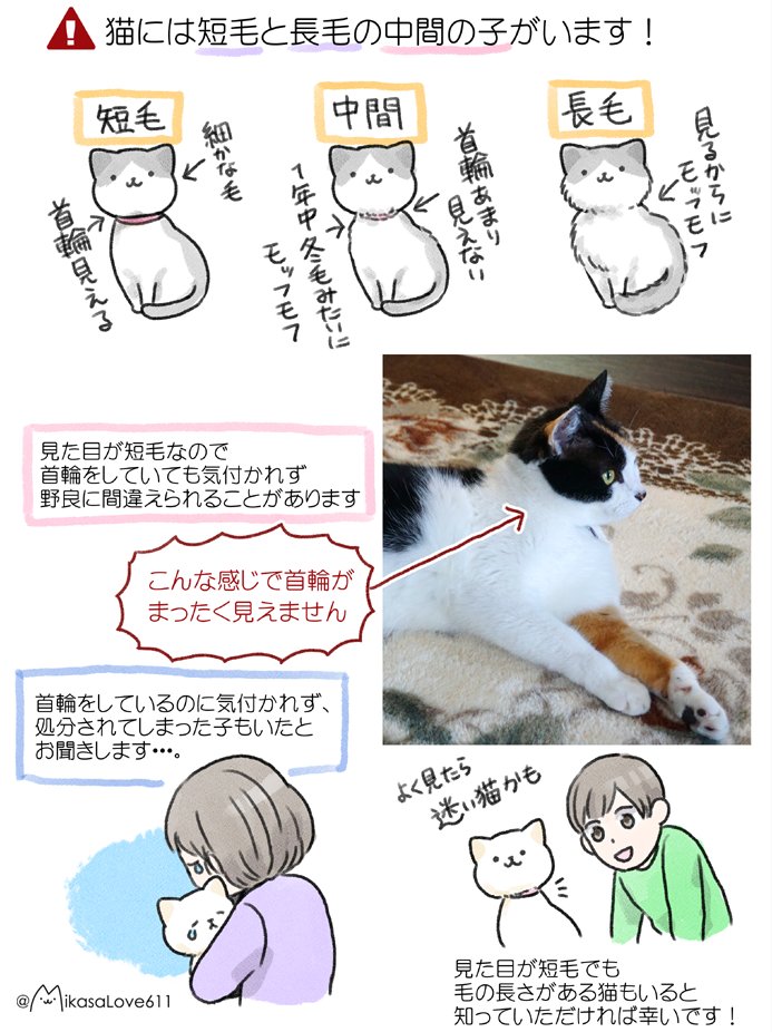 ミカサにゃんの飼い主さんの人気ツイート(リツイート順) ついふぁん!
