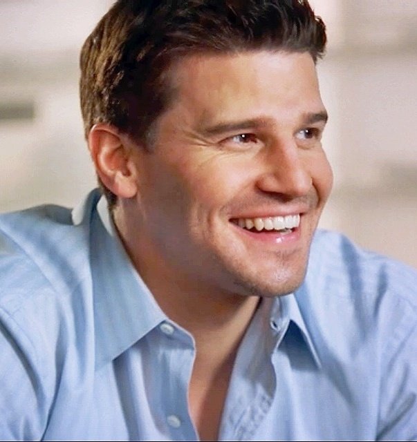 Seeley Booth Smile