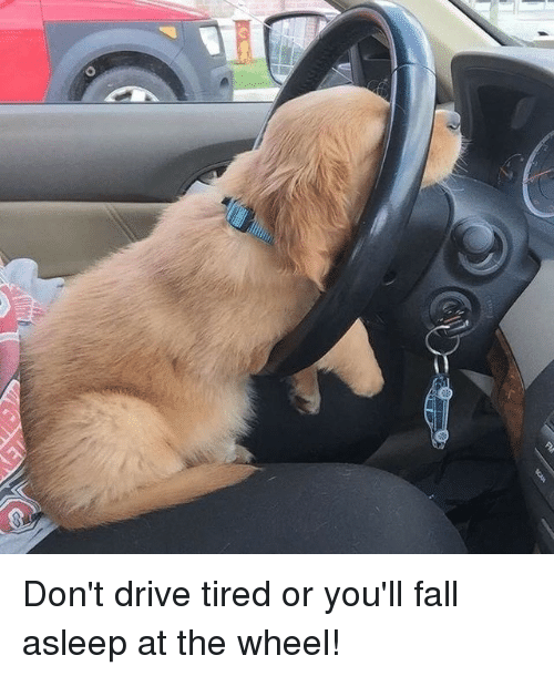 Sleep Driving Memes Father Ted | GIFGlobe