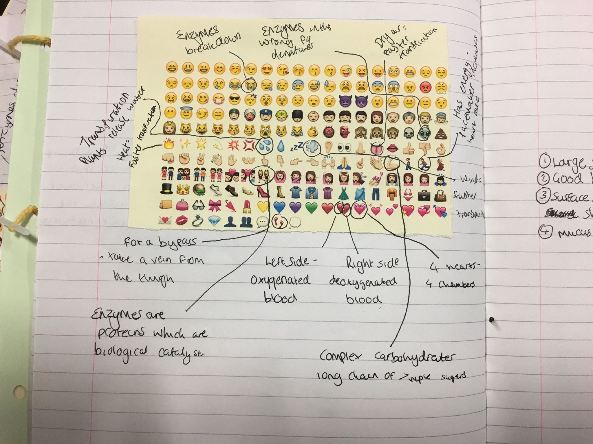 P ᴱᵀᴱ Sᴬᴺᴰᴱᴿˢᴼᴺ MCCT on Twitter: "Using #emojis for biology revision ...