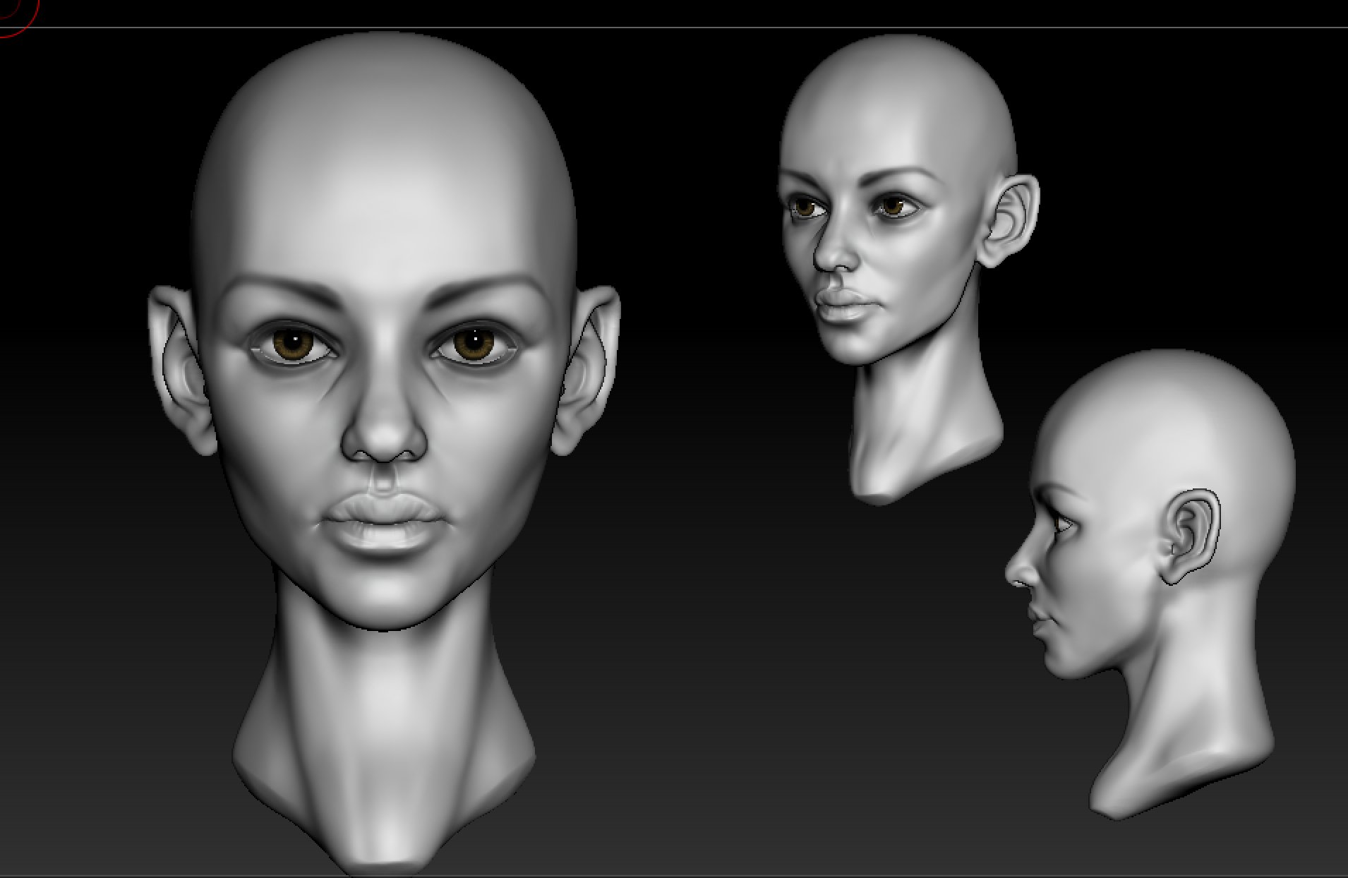 Zbrush Woman Anatomy