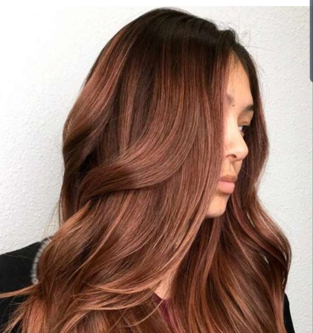 Light Chestnut Reddish Brown Hair