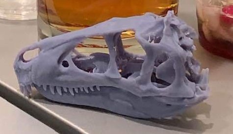 Utahraptor Skull Newest Dinosaur Discovered Is A Seriously Badass