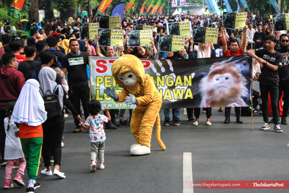 Friendly mascot: An activist dressed in a monkey costume campaigns in ...