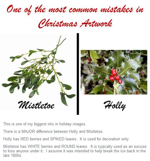 Mistletoe And Holly Comparison
