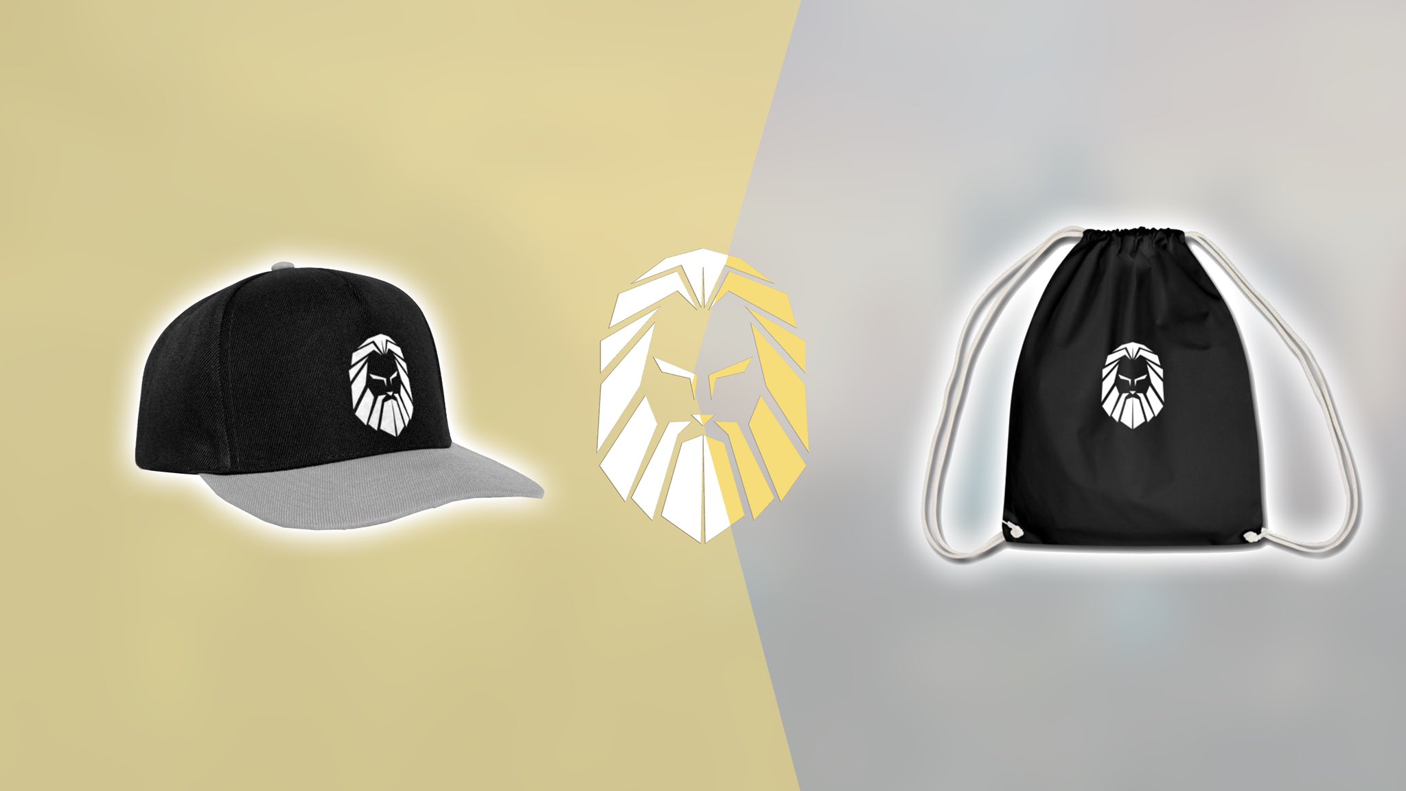 Divinity Esports on Twitter: "Thank you so much for 100 followers! To give you something back ...