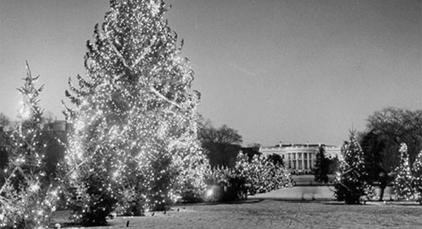DID YOU KNOW? In 1963, the National Christmas Tree lighting ceremony ...