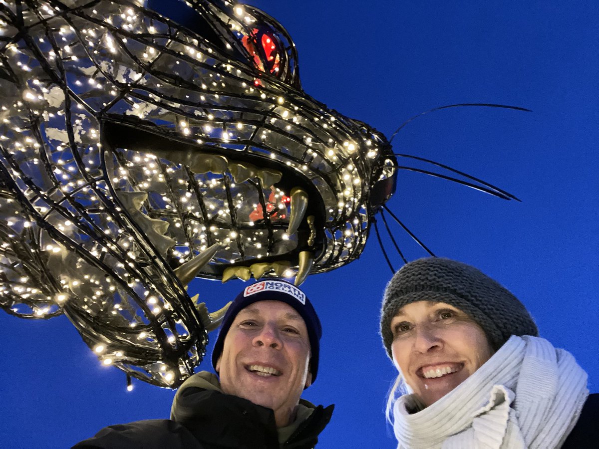 We have discovered the Icelandic tradition of the Yule Cat / Christmas ...