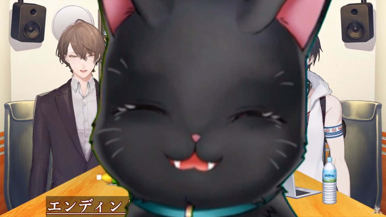 成瀬 鳴 on Twitter: "猫の画像くれぇ〜〜〜" / Twitter