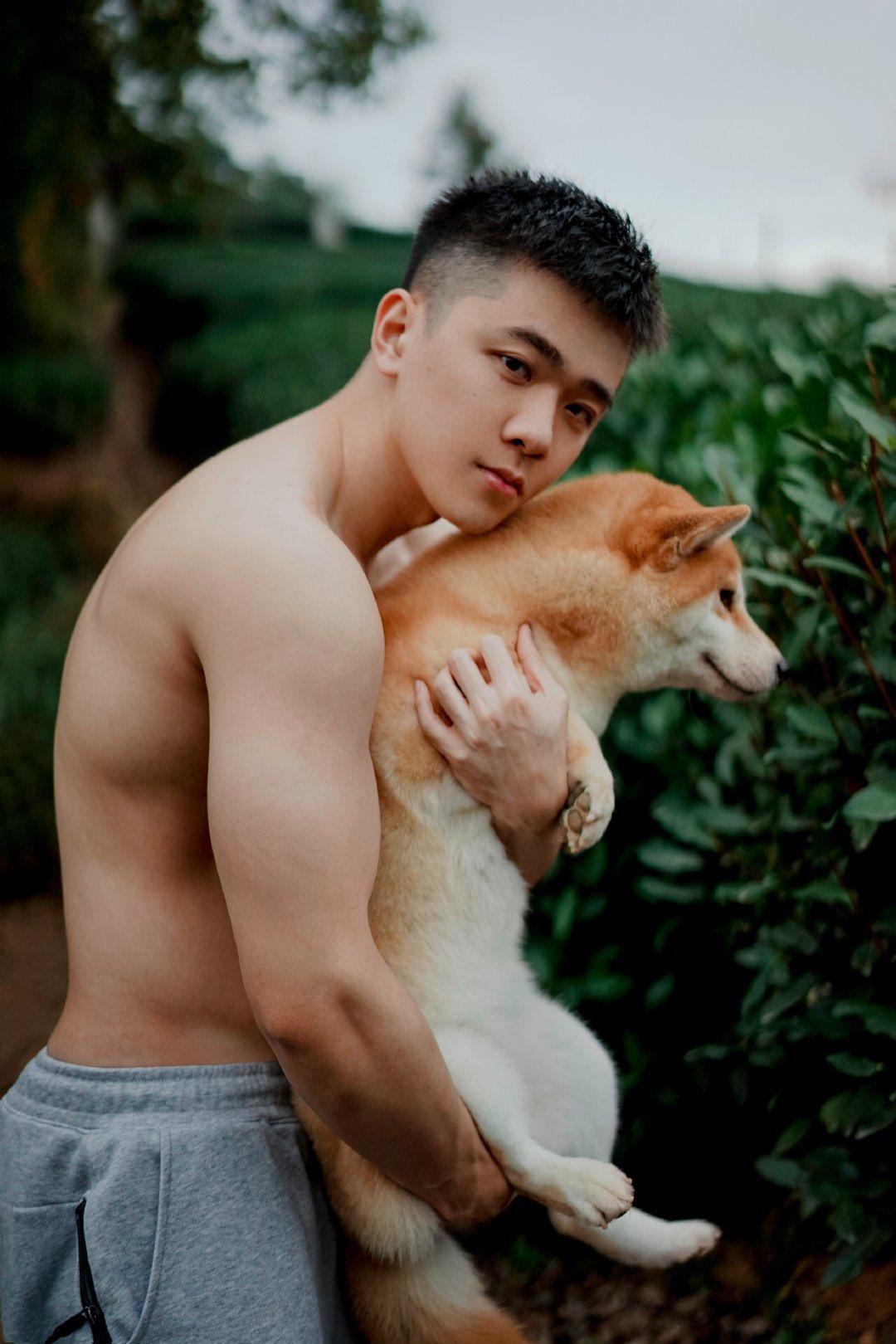 ethan studio on Twitter: "冬天就想拍这种暖暖的狗🐶片 Pictures source from weibo @WANYUKIN https://t.co ...