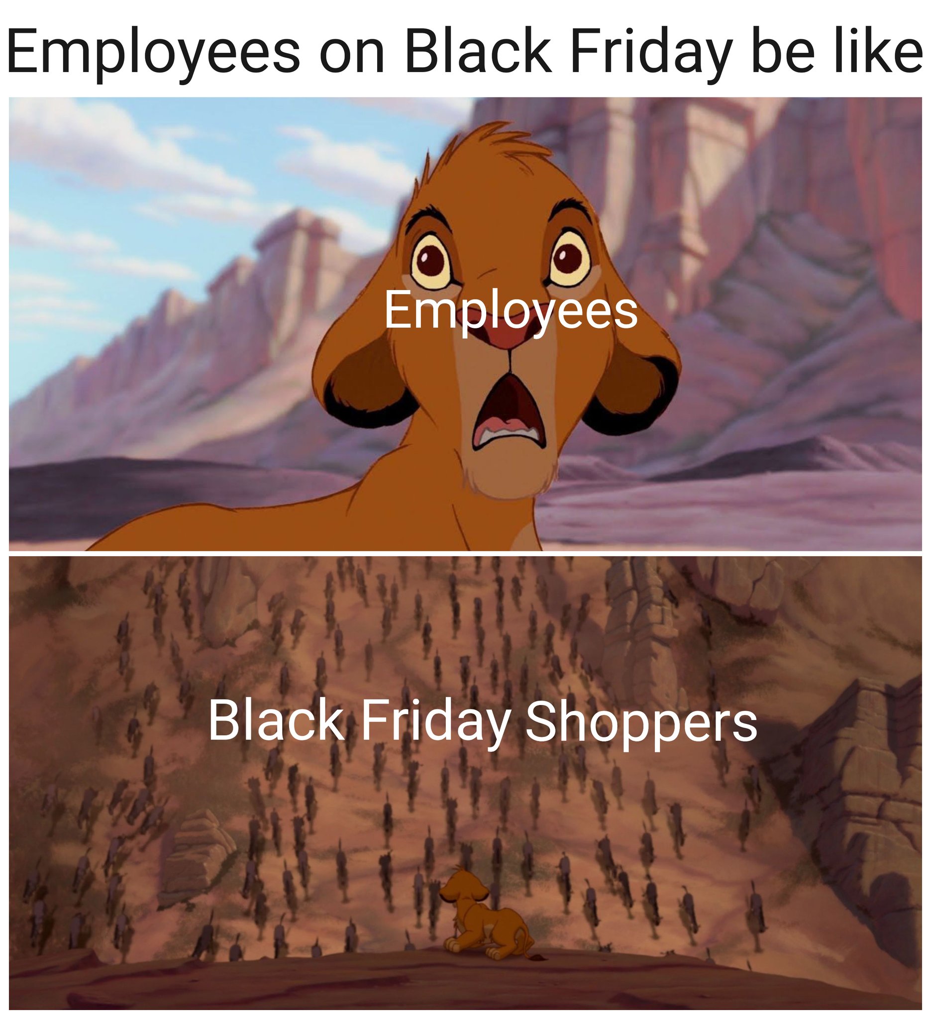Black Friday Retail Meme