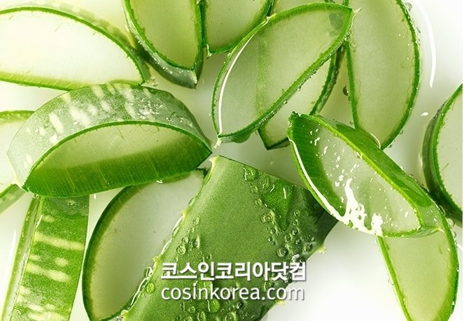 코스인코리아닷컴 On Twitter 유니베라 알로에 세계일류상품 에서 17년 연속 선정 🌿 자랑스럽다 오늘은