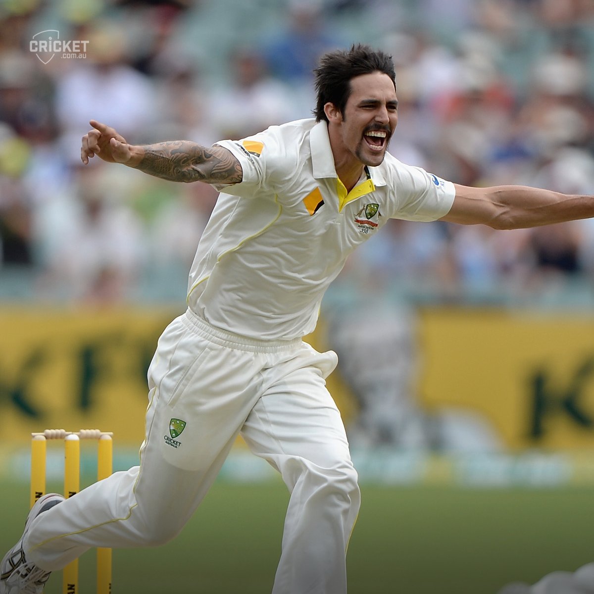 Mitchell Johnson Cricket