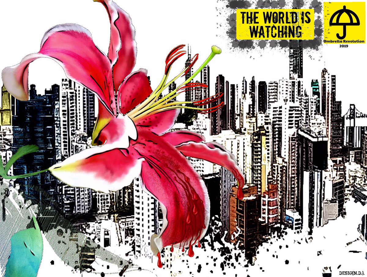 Daniel Rhoads (@drhoads503) | Twitter