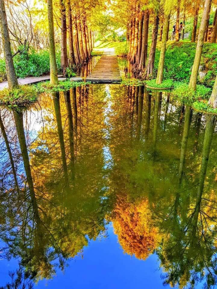 許玲鈺 Hsu ling yu on Twitter: