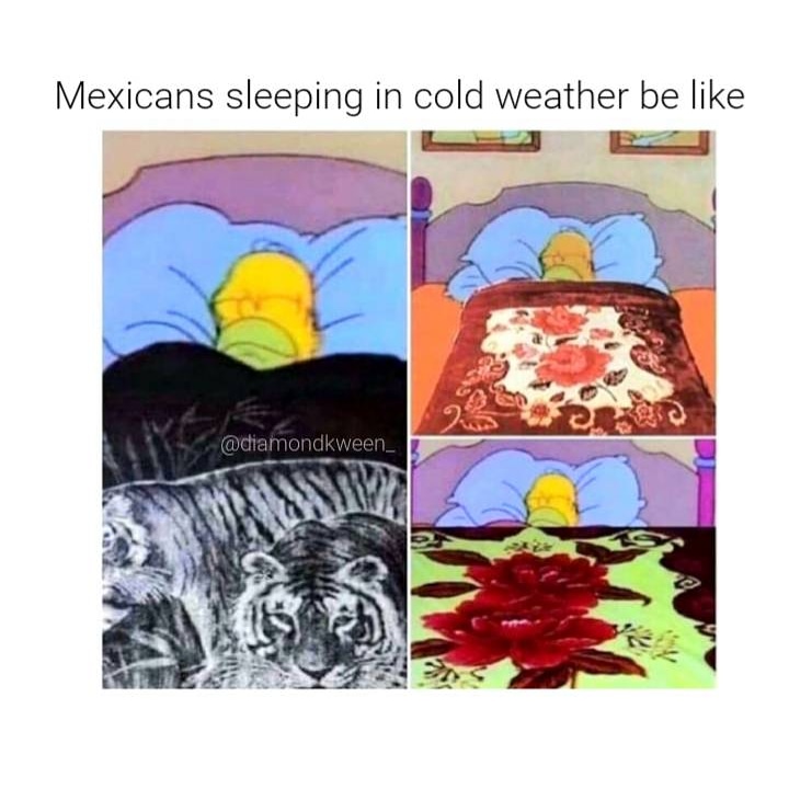 Mexicans Be Like Meme