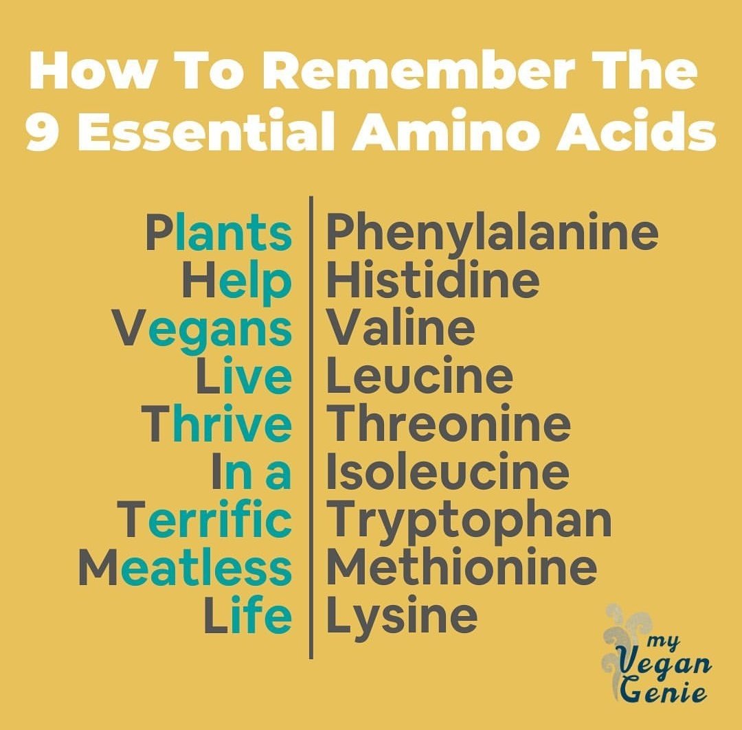 What Are The Nine Amino Acids In Protein