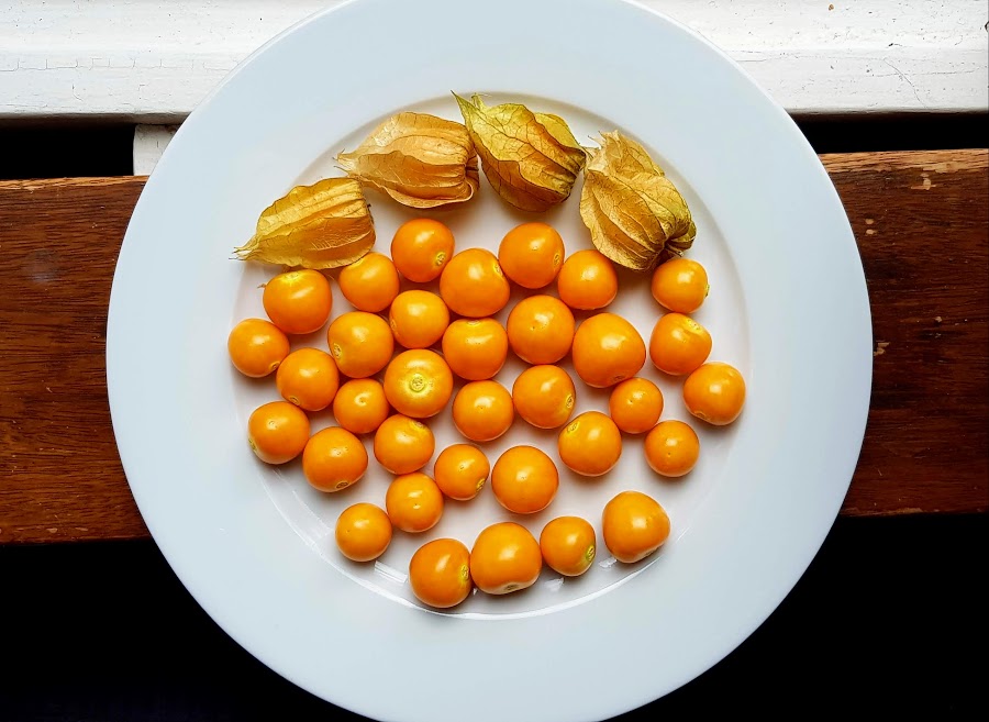 Abhishek Avtans अभिषेक अवतंस 🌐 on Twitter: "Which name do yo use for these fruits? 🌟Physalis ...