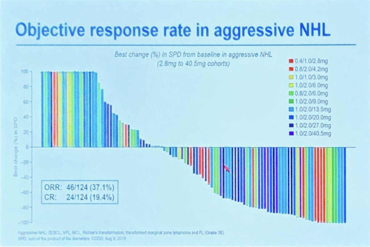 Impressive results of mosunetuzumab, a bispecific anti CD3/CD20 ...