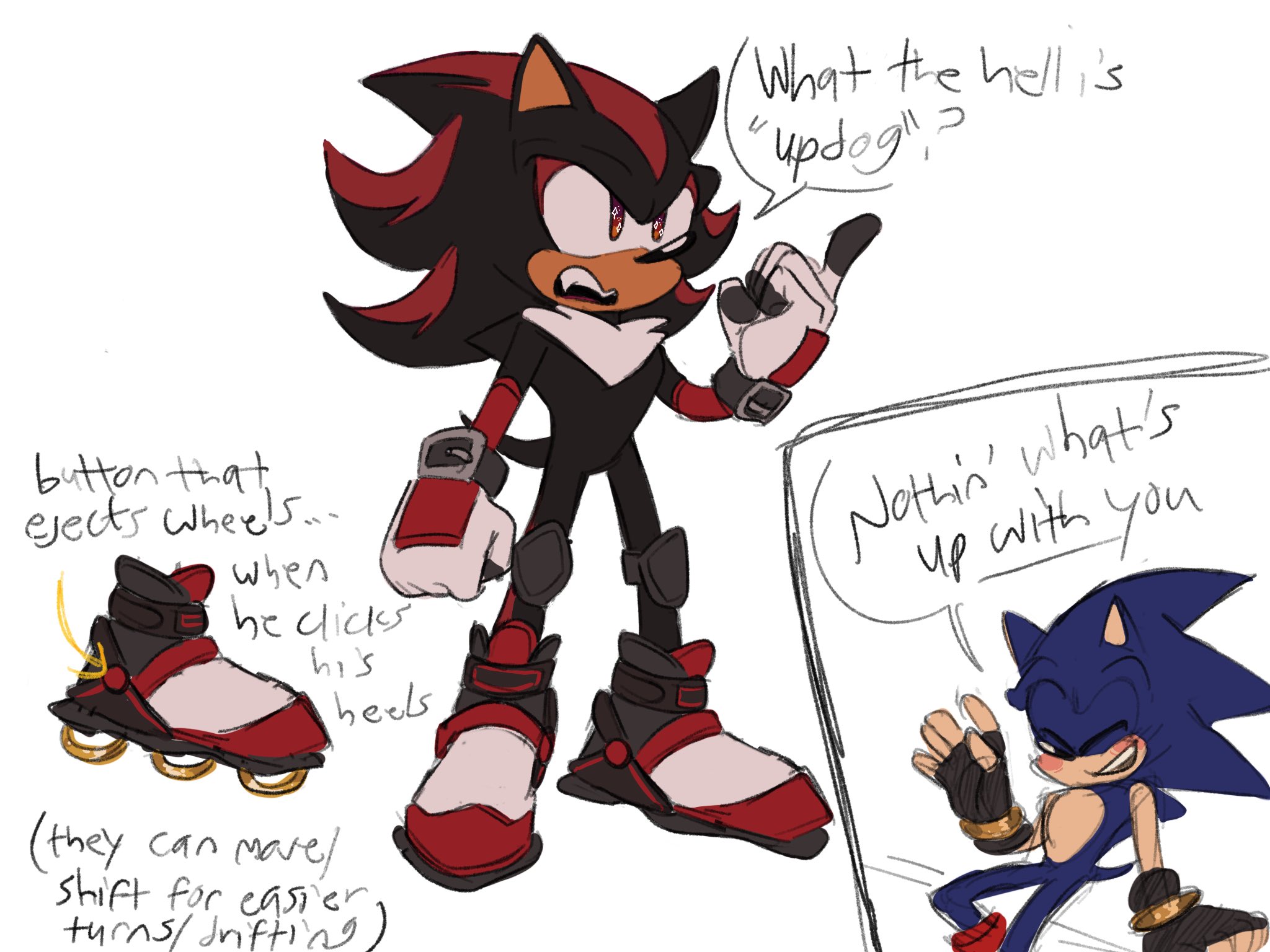 Shadow The Hedgehog Skating