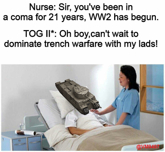 Tog Memes