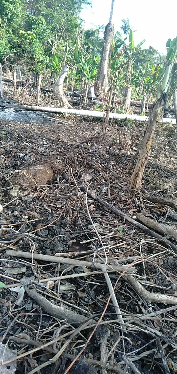 Thimotius Karoba (@ThimotiusKarob2) | Twitter